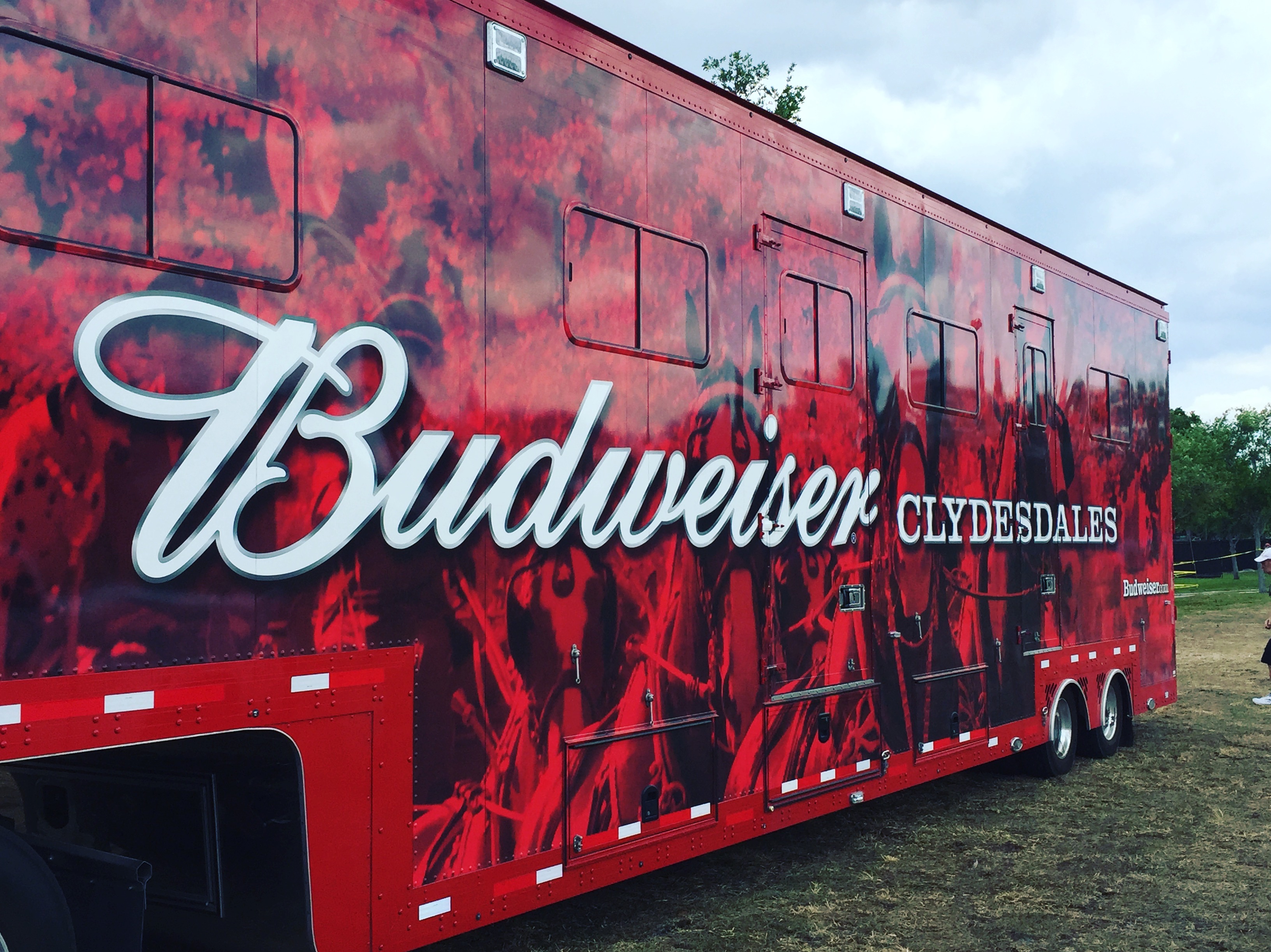 World Renown Budweiser Clydesdales come to Fort Lauderdale - Eye On Channel
